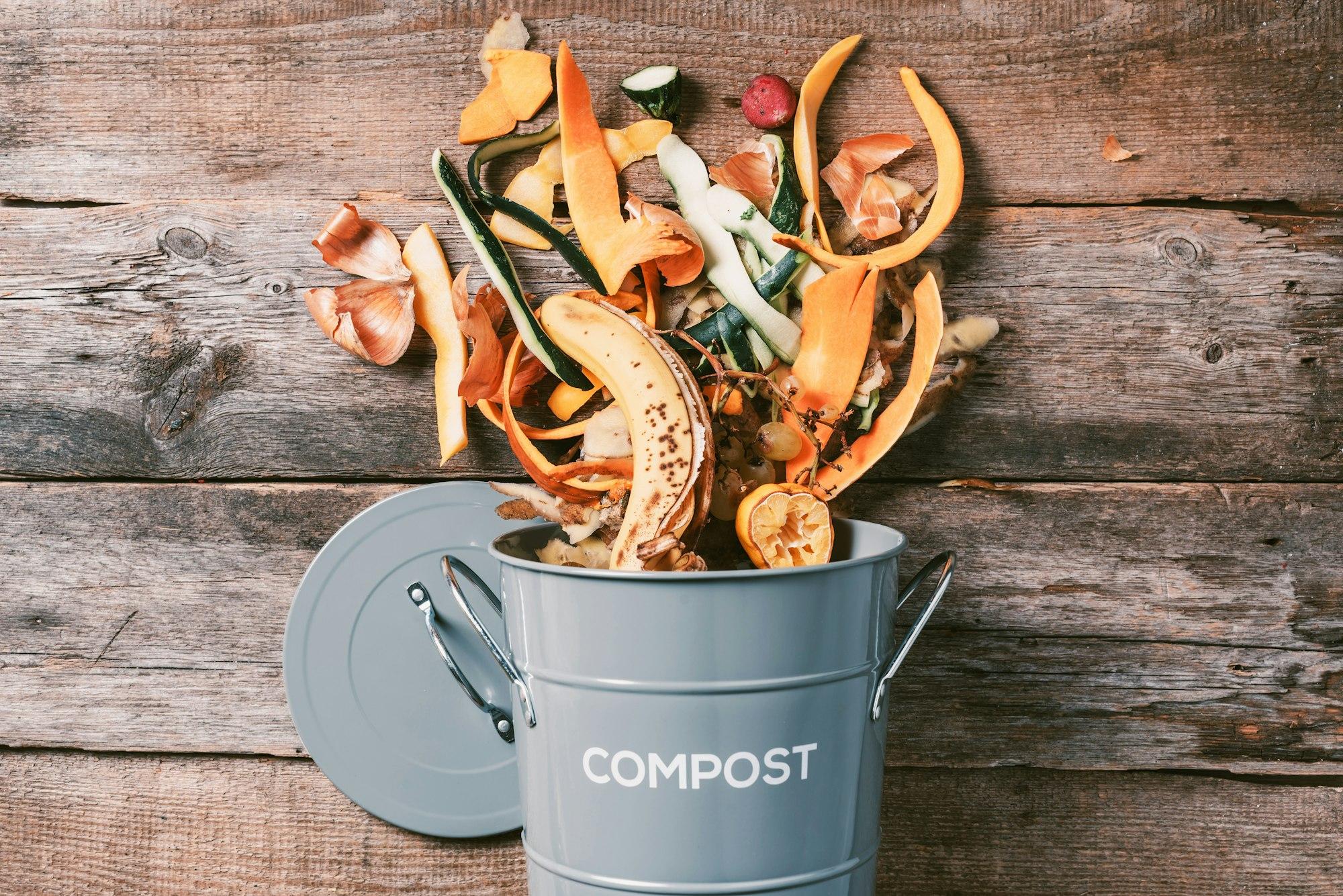 Comment faire du compost en appartement ? 5 astuces pour réussir ...
